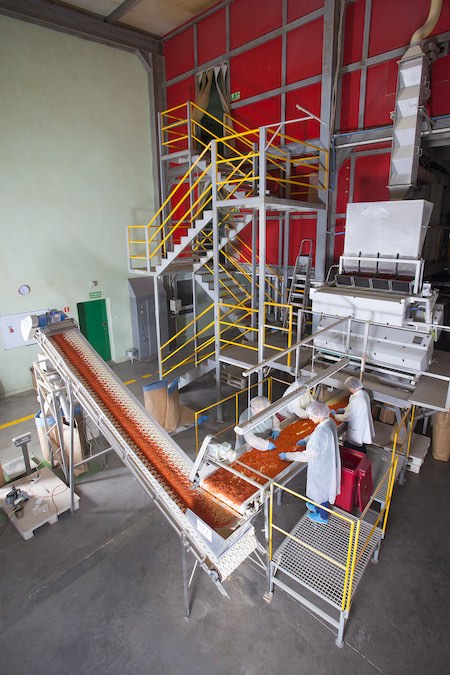 Suszarnia Warzyw Jaworski